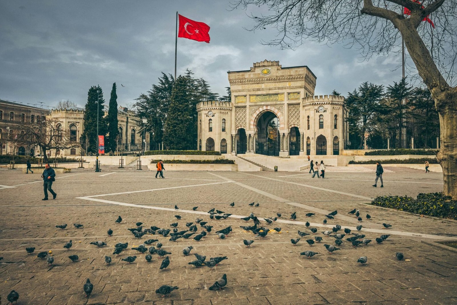 Best Guide to Study in Turkey – Everything You Need to Know | Arrive Turkey